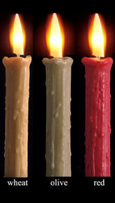 Electric Candle Company